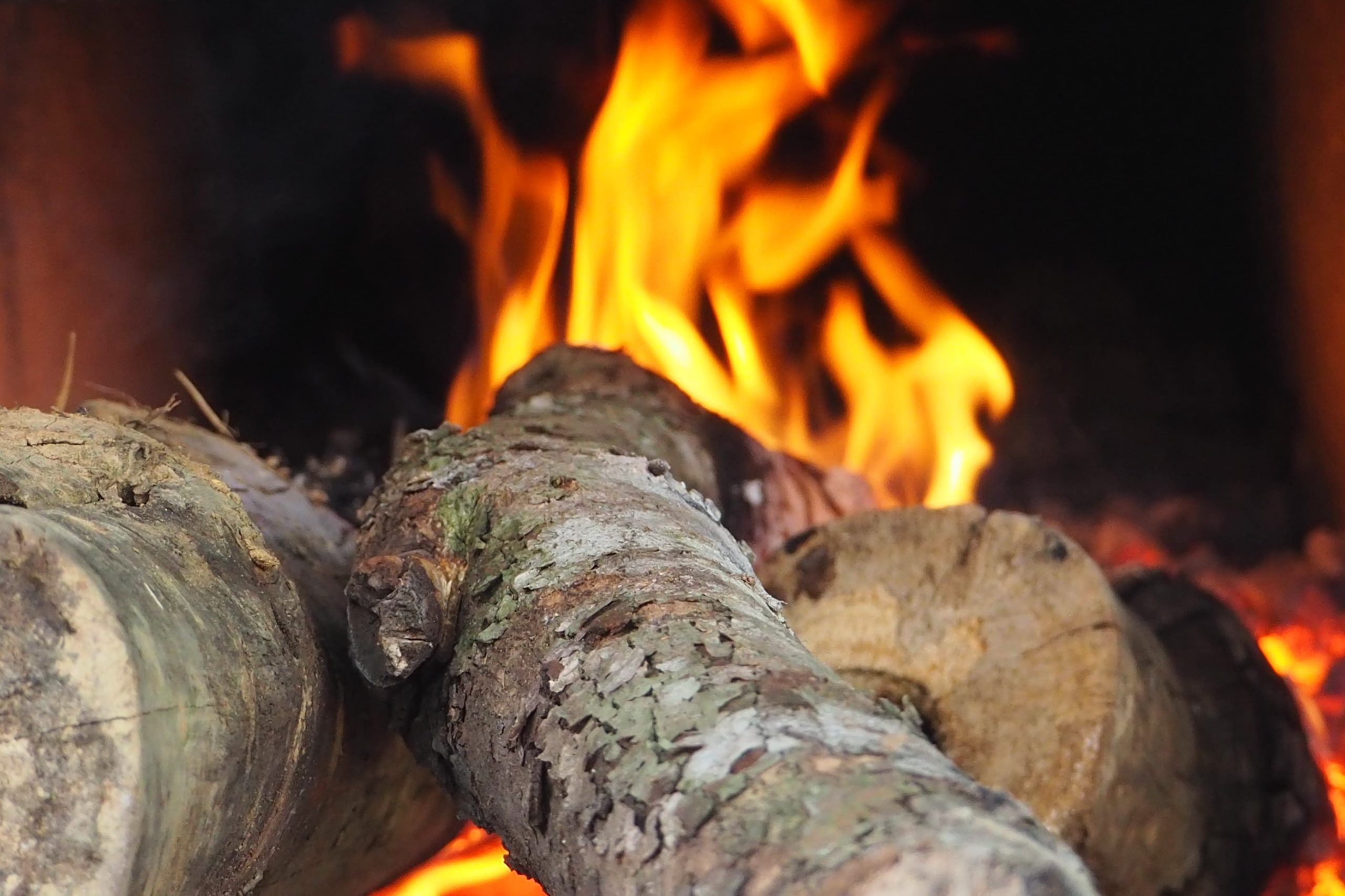 Regulations You Need to Know About: Burning Logs - Green Olive