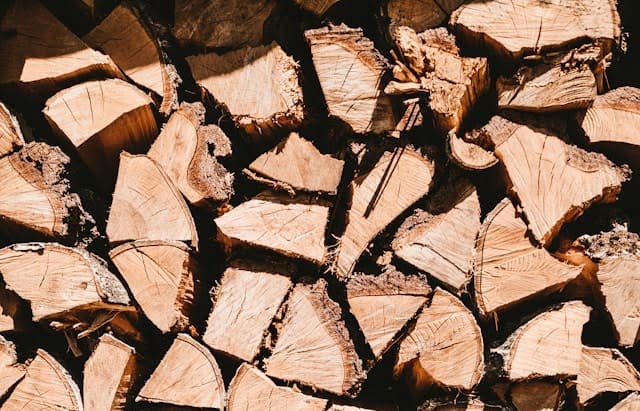 Best tips on how to dry out wet firewood fast